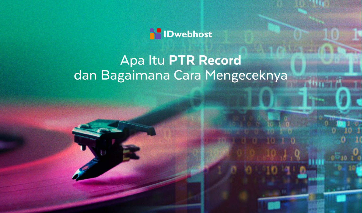 Apa Itu PTR Record Dan Bagaimana Cara Mengeceknya