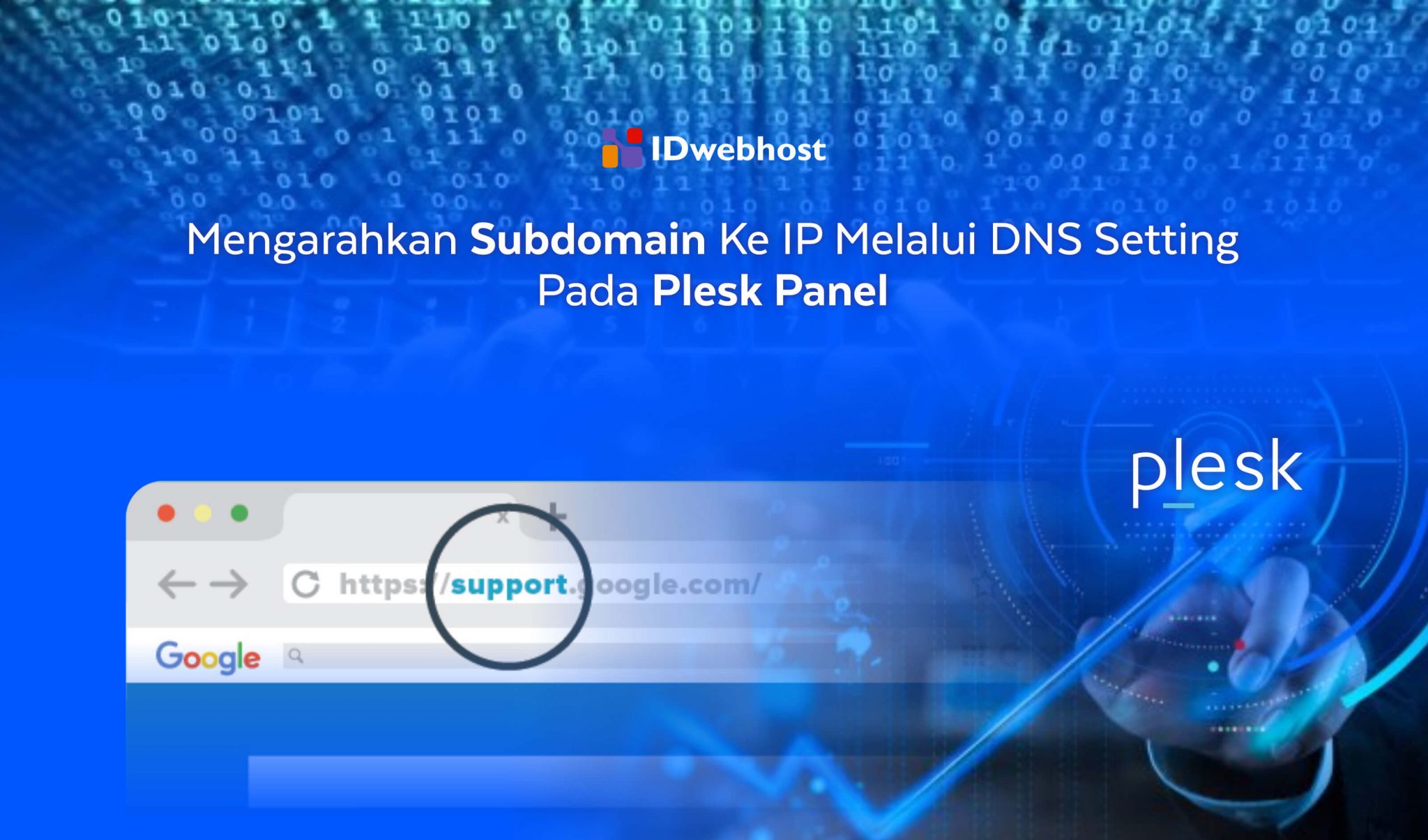 Mengarahkan Subdomain Ke IP Melalui DNS Setting Pada Plesk Panel