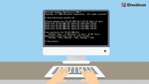 Mengenal Apa Itu Ping Beserta Fungsi dan Cara Kerjanya