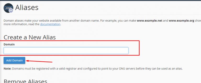 Cara setting parking domain