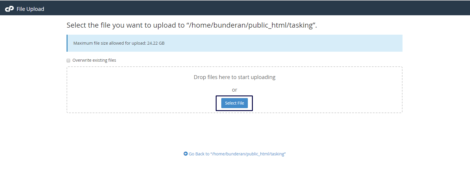 Cara Upload File Melalui cPanel Hosting
