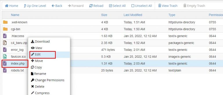 Tutorial Upload CodeIgniter 4 Ke Hosting